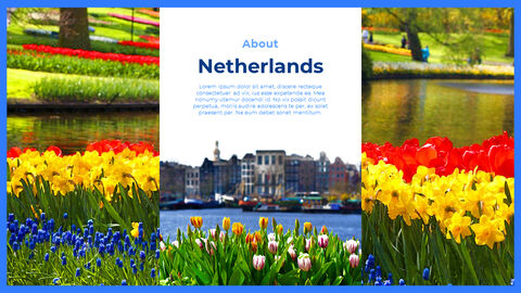 Netherlands creating PowerPoint Presentations