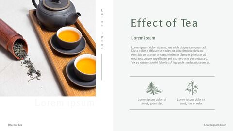 Traditional Tea Presentations PPT