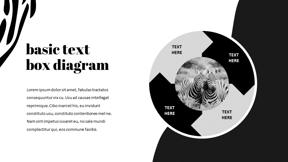 zebra Google Slides Presentation|Animal