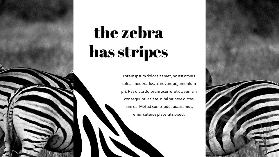 zebra Startup PPT Templates