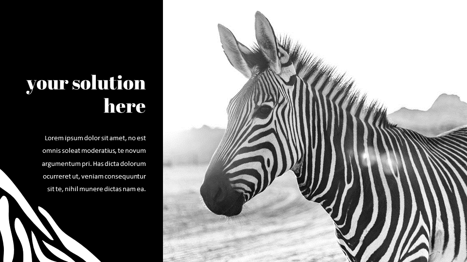 zebra Startup PPT Templates