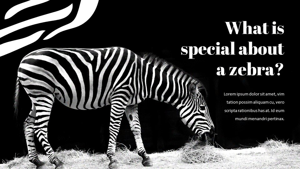 zebra Startup PPT Templates