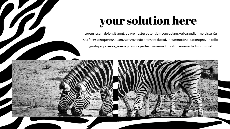 zebra Startup PPT Templates