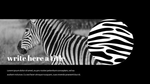 Zebra PPT-Vorlagen starten