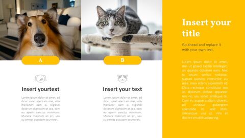 My Pet PowerPoint Templates for Presentation
