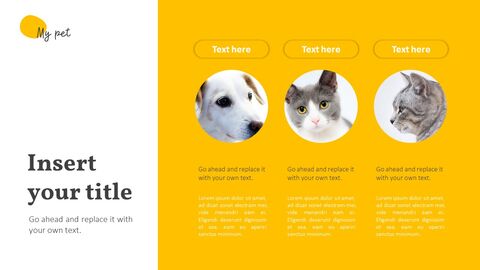 My Pet PowerPoint Templates for Presentation