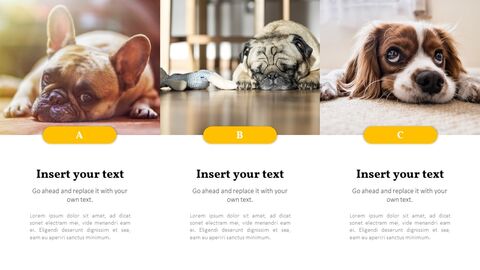 My Pet PowerPoint Templates for Presentation
