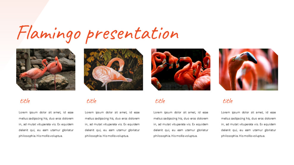 Flamingo Best PPT Templates