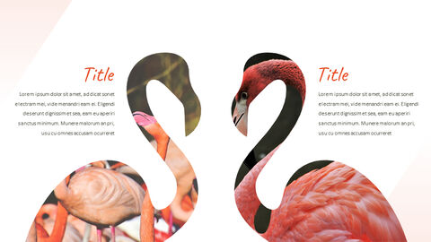Flamingo Best PPT Templates