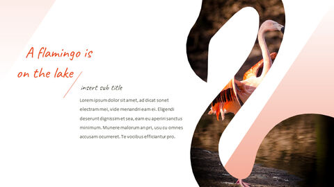 Flamingo Best PPT Templates