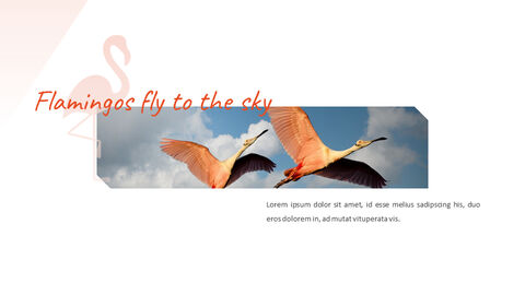 Flamingo Best PPT Templates