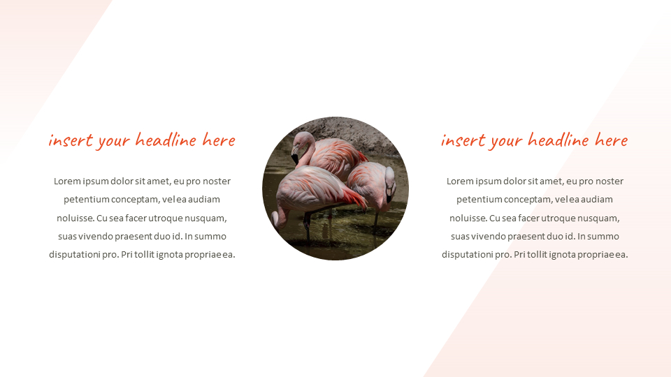 Flamingo Best PPT Templates