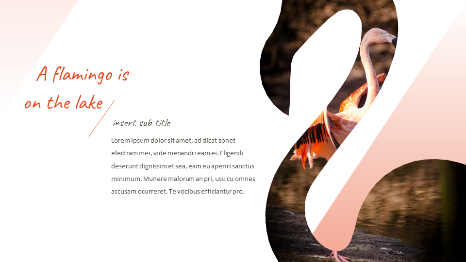 Flamingo Google Slides Presentation