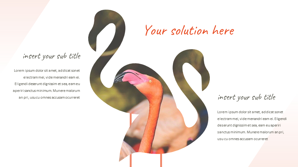 Flamingo Google Slides Presentation