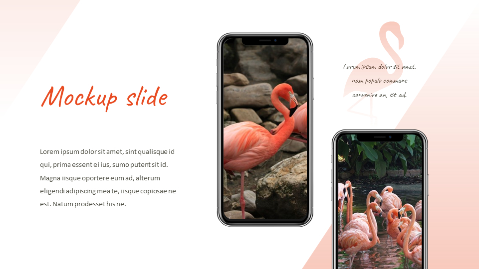 Flamingo Google Slides Presentation