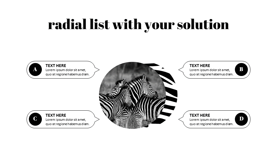 zebra Google Slides Presentation|Animal