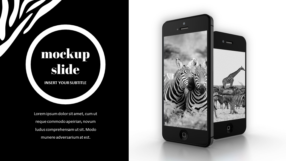 zebra Google Slides Presentation|Animal