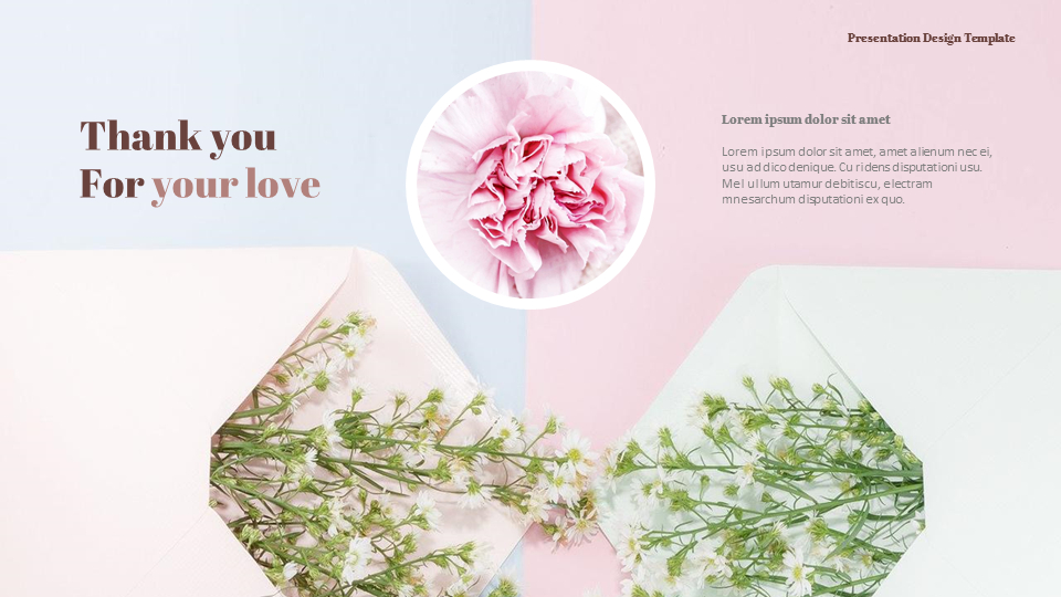 Carnation Flower and Gift PPT Templates Design