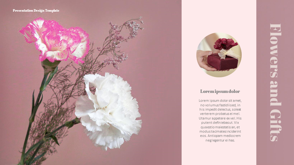 Carnation Flower and Gift PPT Templates Design
