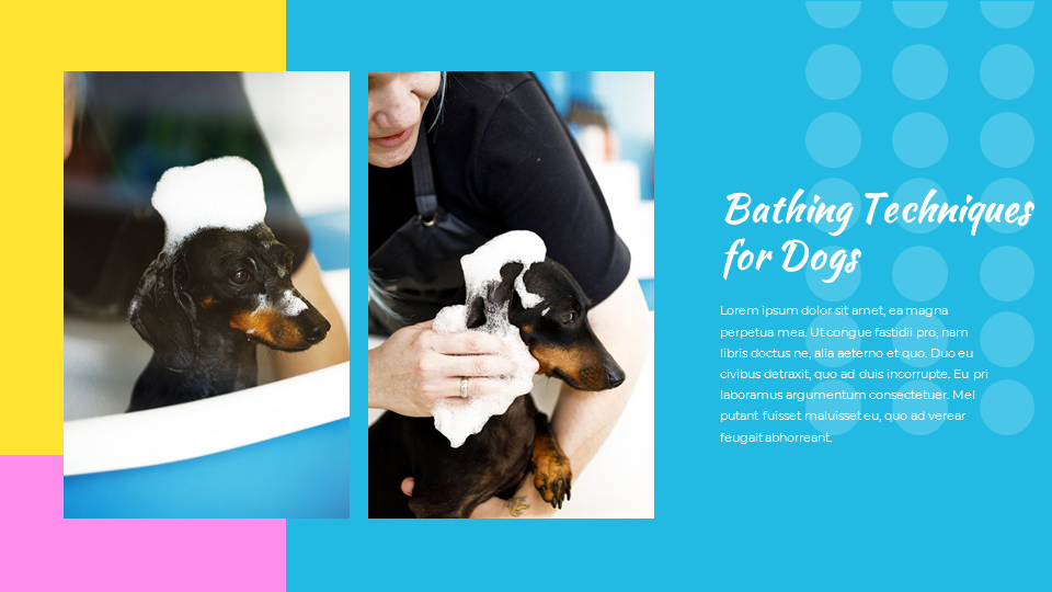 Pet Salon PowerPoint to Google Slides