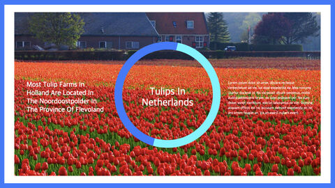 Netherlands Theme Keynote Design|Business