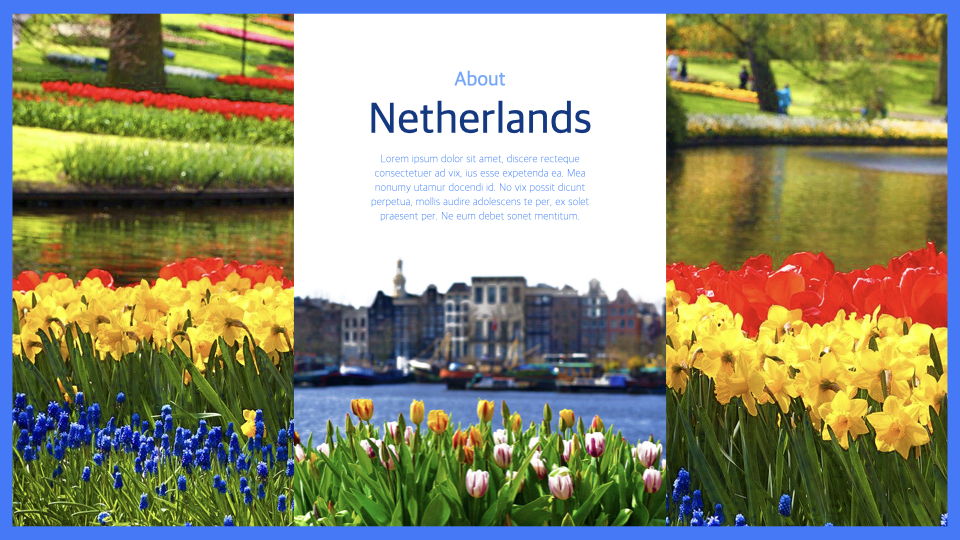 Netherlands Theme Keynote Design|Business