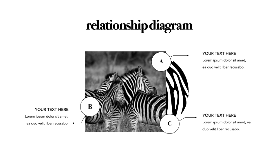 zebra Keynote Templates for Creatives
