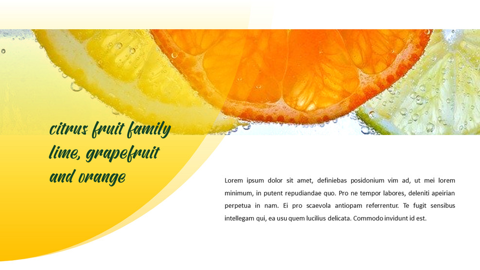 Citrus Templates PPT