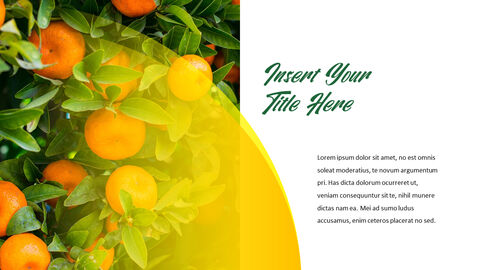 Citrus Templates PPT