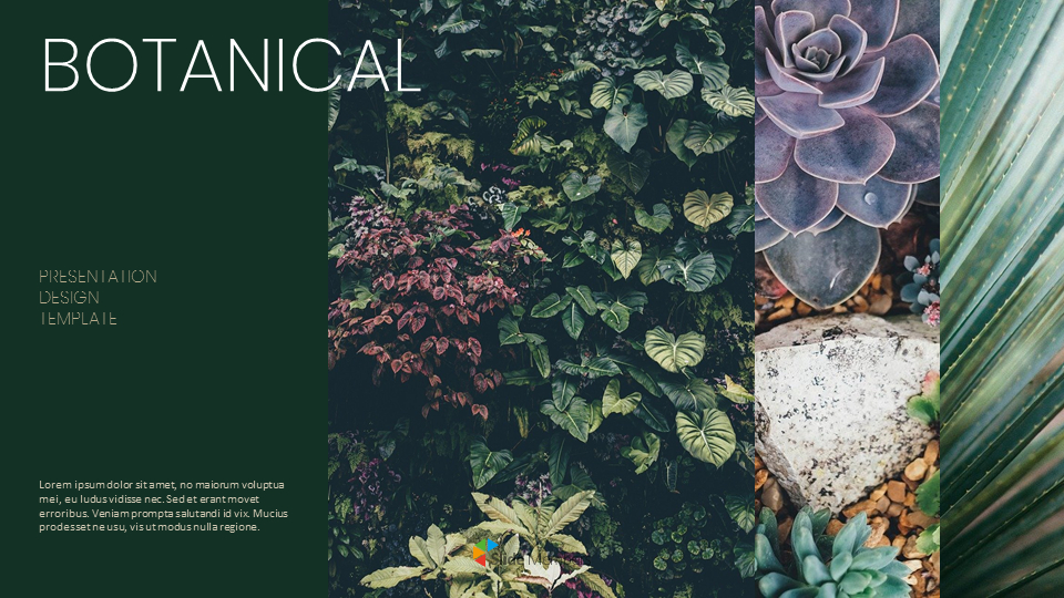 Botanical Background PowerPoint