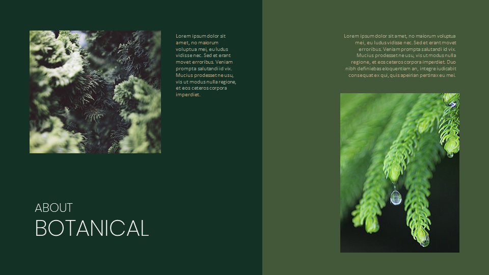 Botanical Background PowerPoint