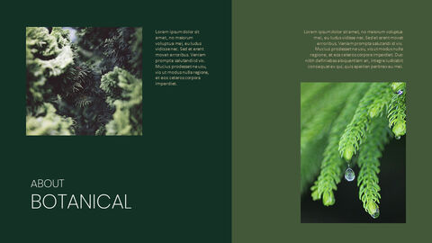 Botanical Background PowerPoint