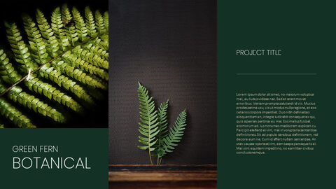 Botanical Background PowerPoint