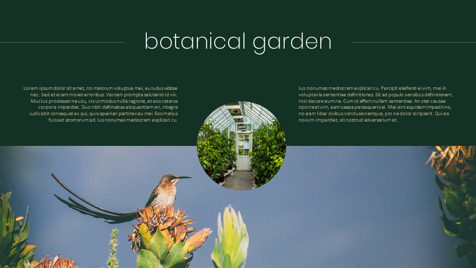 Botanical Google PowerPoint Slides
