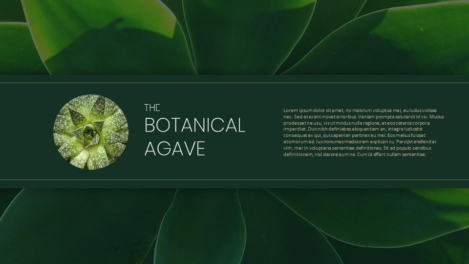 Botanical Google PowerPoint Slides