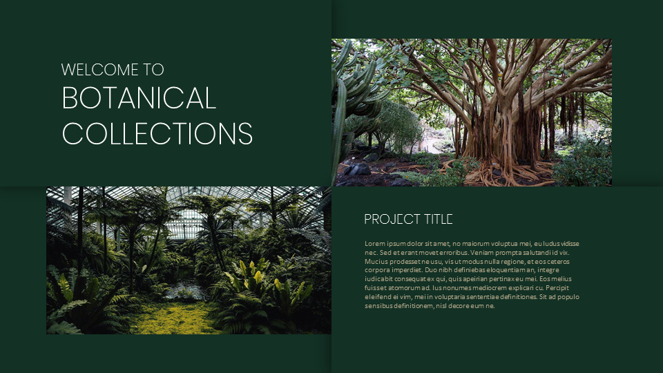 Botanical Google PowerPoint Slides