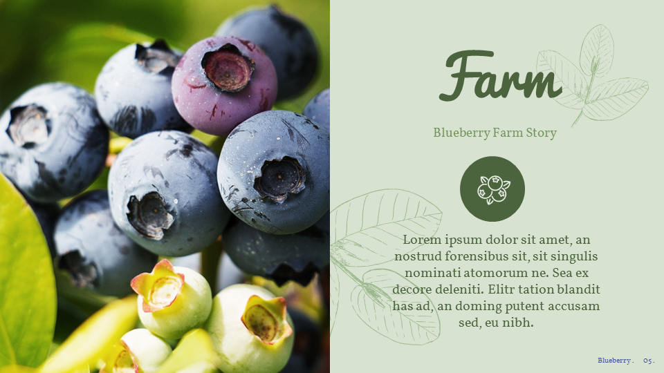 Blueberries Google PowerPoint Presentation