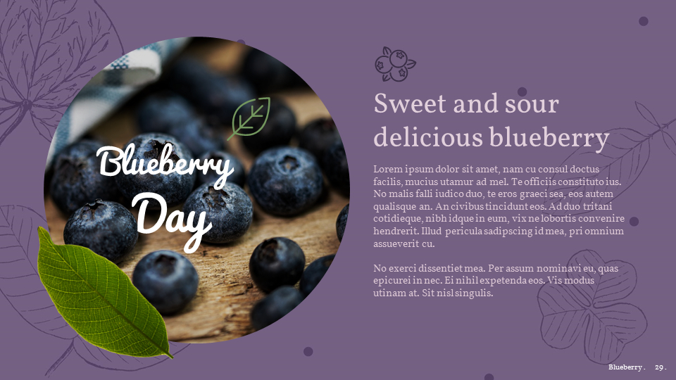Blueberries Google PowerPoint Presentation