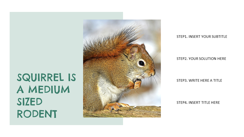 Squirrel PowerPoint Format