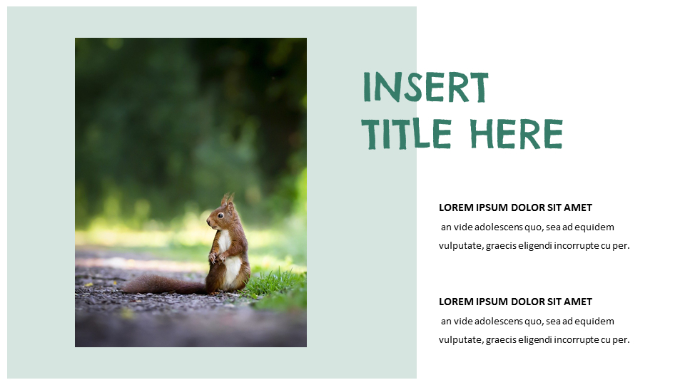 Squirrel PowerPoint Format