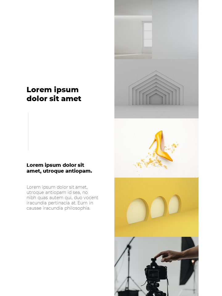 Multipurpose Vertical PPT Theme