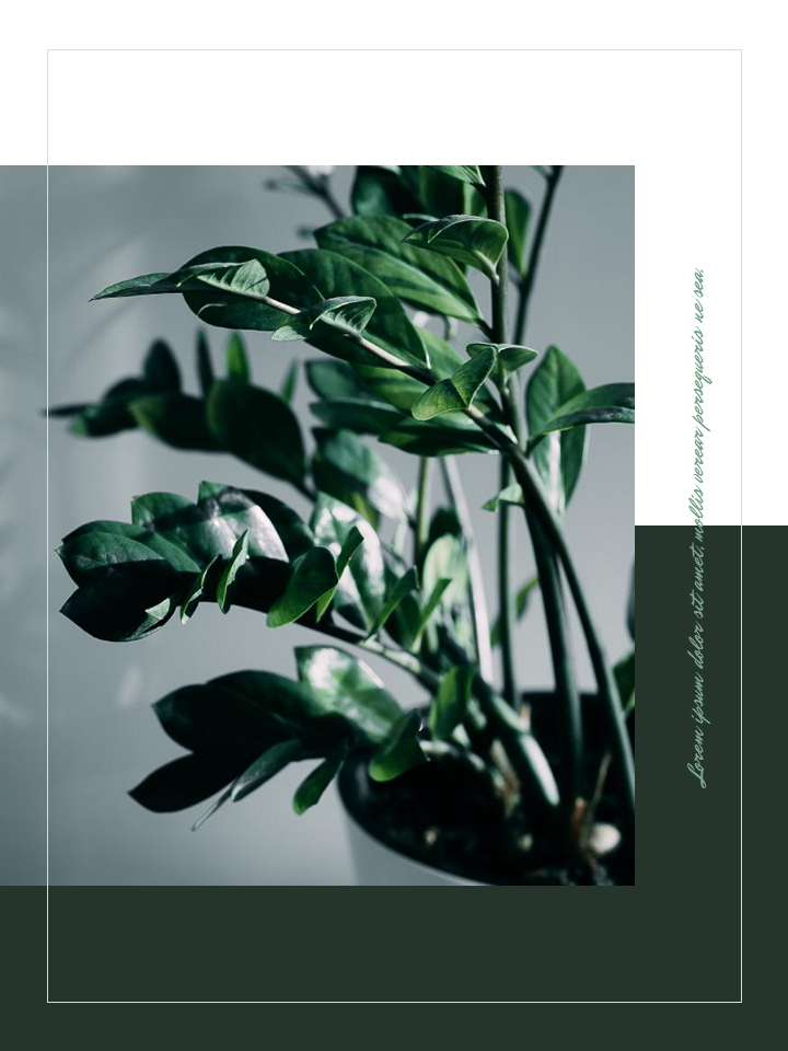 Greenery Vertical Slide Design Google PowerPoint