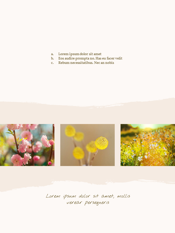 Our Spring Concept Vertical PowerPoint Templates for Presentation