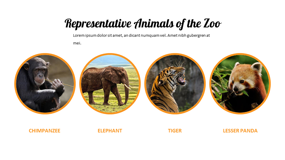 zoo Google Slides Presentation Templates|Animal