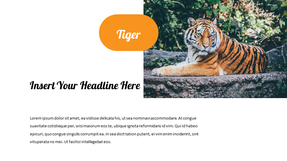 zoo Google Slides Presentation Templates|Animal