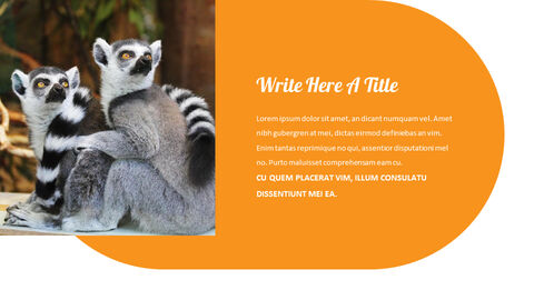 zoo Slide PPT
