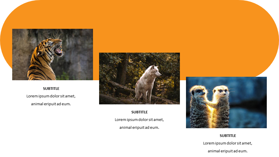 zoo Slide PPT