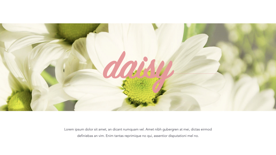 Daisy Multipurpose Presentation Keynote Template