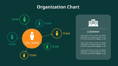 Human Infographic Organizational Chart