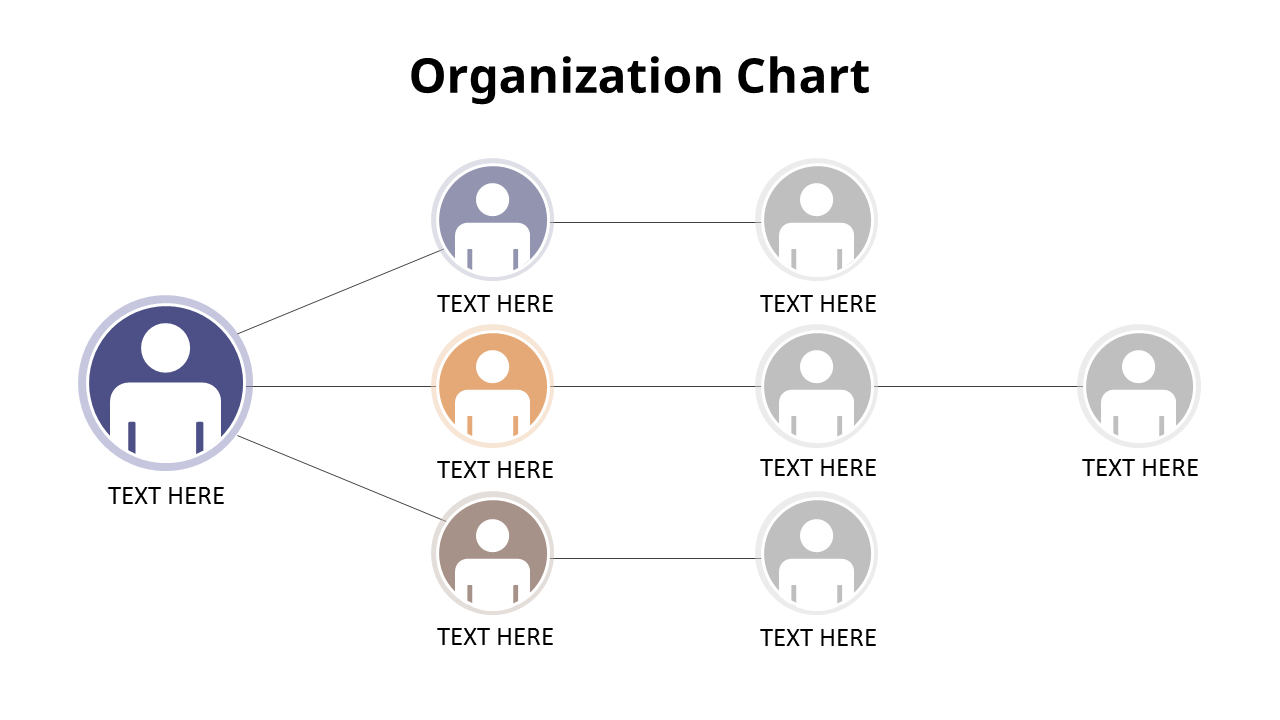 Organigramme